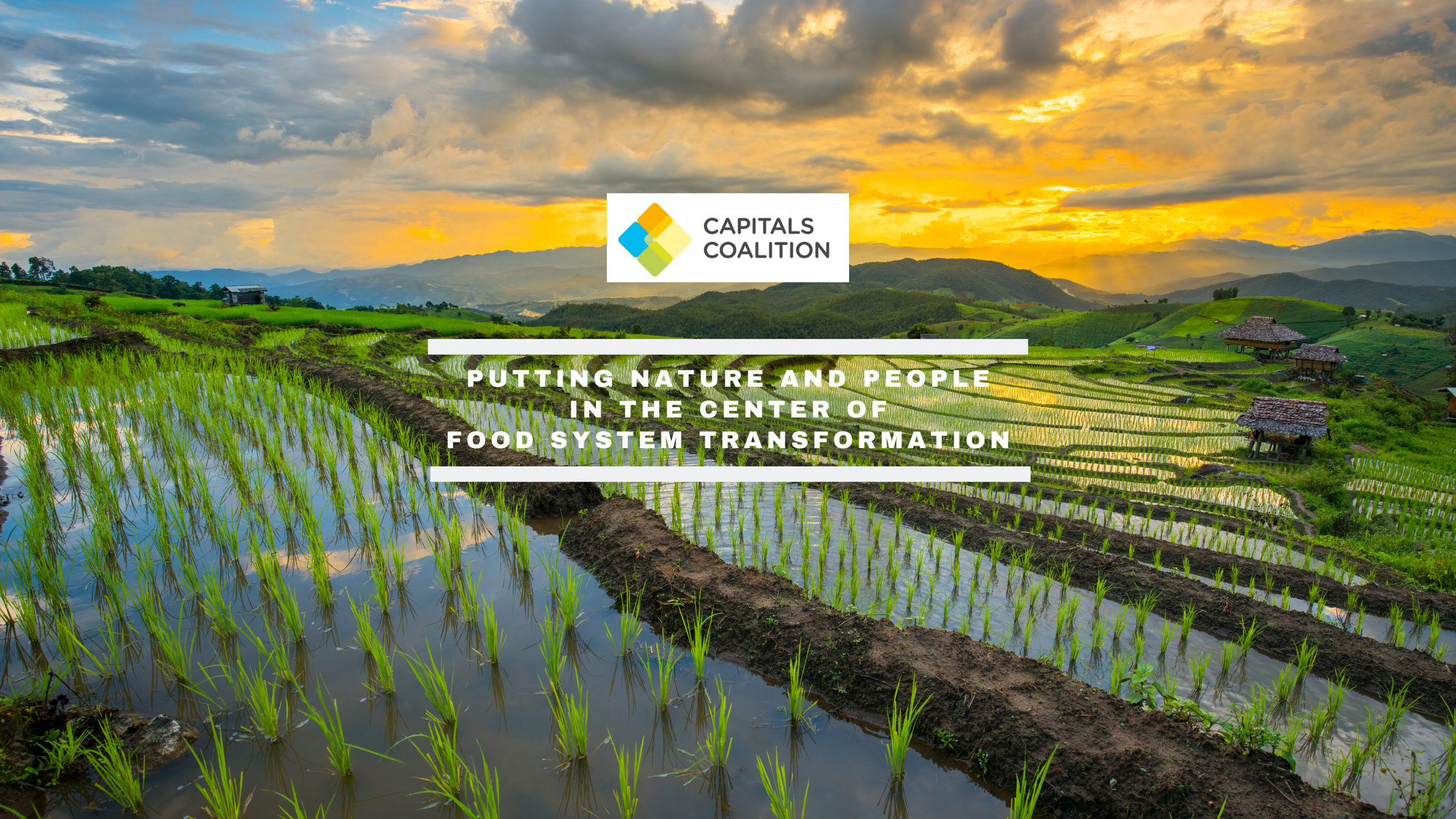 Welcome to The Indonesia Business Council for Sustainable Development ...